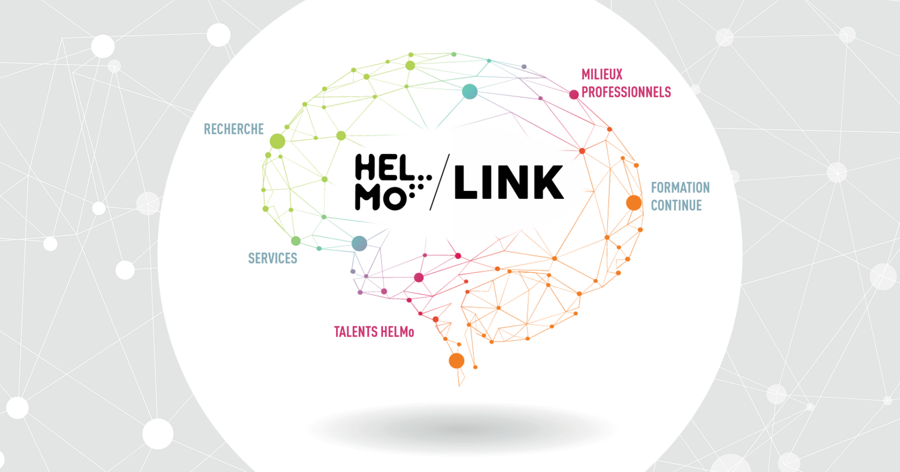 HELMo CRIG devient HELMo Link — HELMo